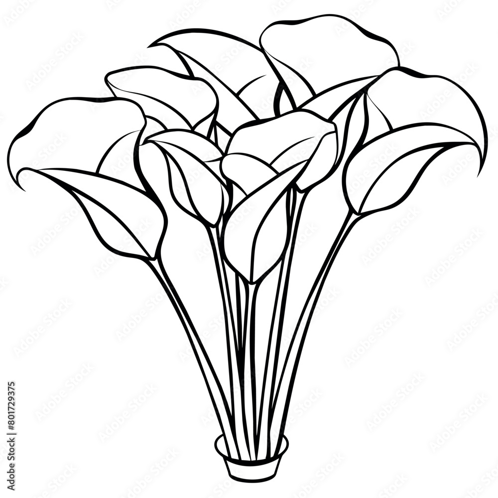 Calla Lily Flower Bouquet outline illustration coloring book page ...