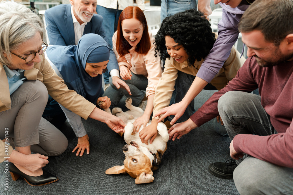 Group of multinational smiling people, business team petting dog ...