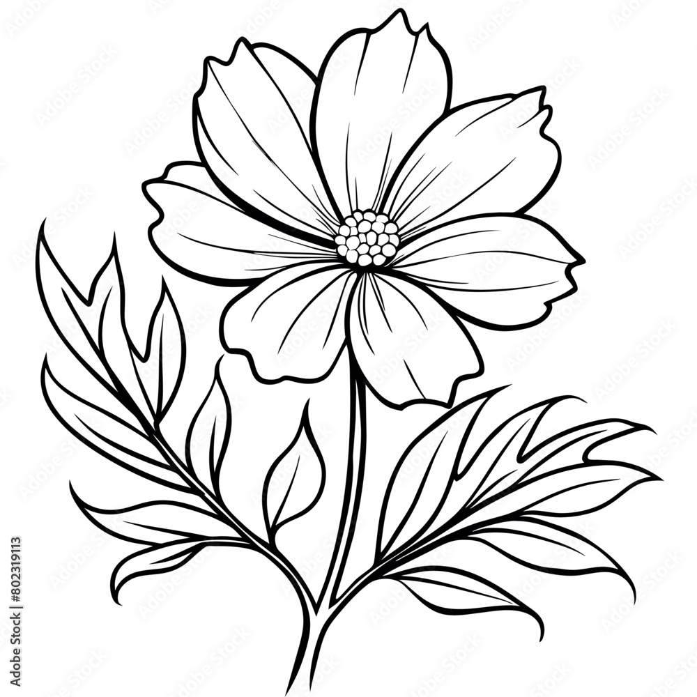Cosmos flower plant outline illustration coloring book page design ...