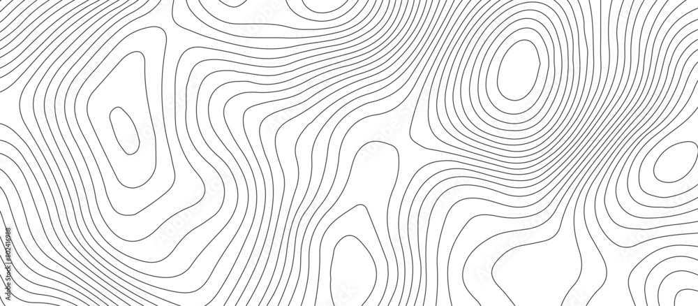 White background topography contour map with black curve lines .luxury ...