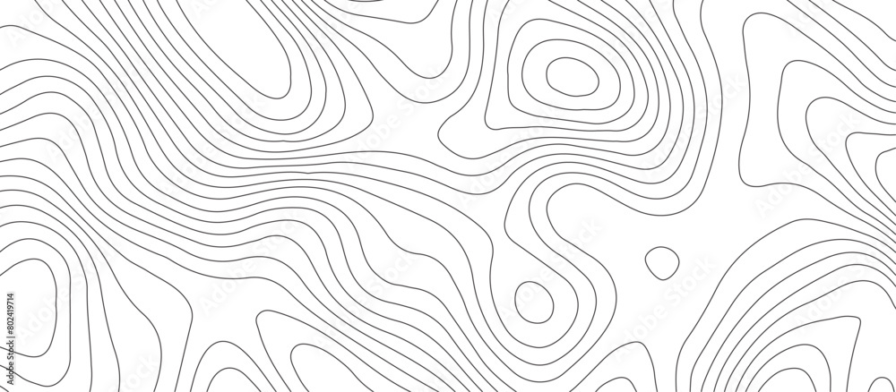 White background topography contour map with black curve lines .luxury ...
