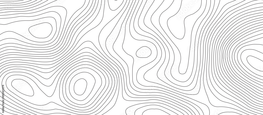 White background topography contour map with black curve lines .luxury ...