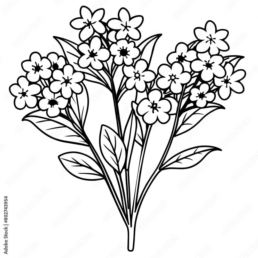 Forget Me Not Flower Bouquet outline illustration coloring book page ...