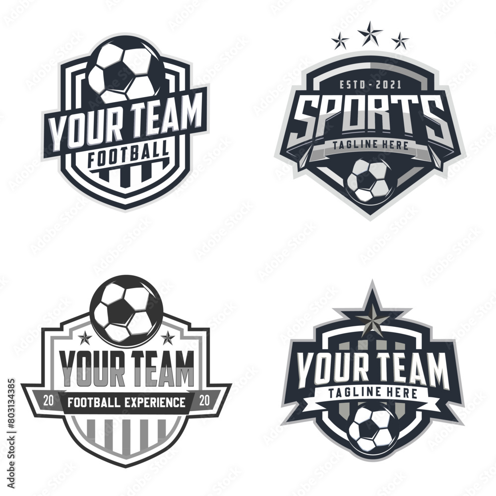 Vintage badge emblem Football soccer sport team club league logo with ...