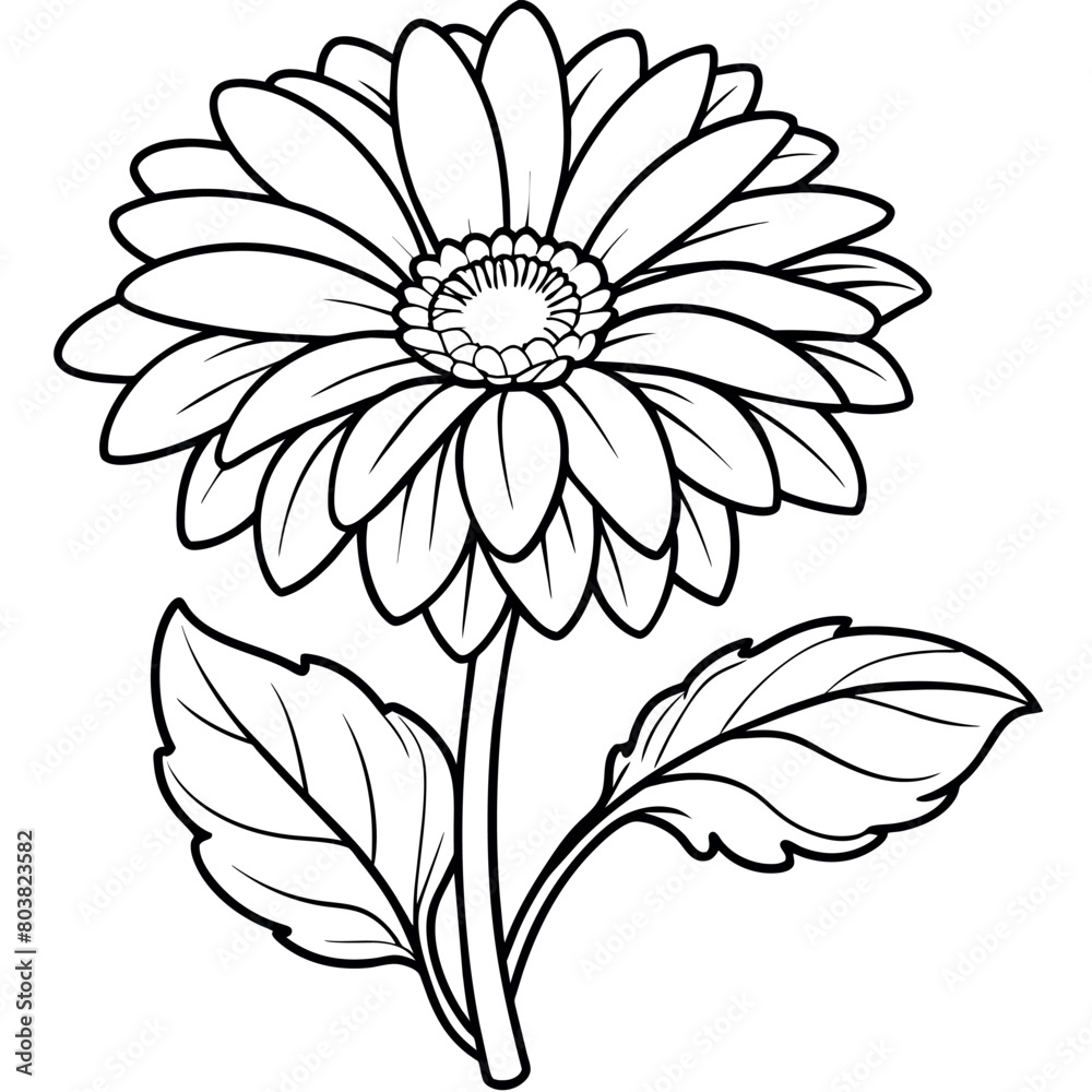 Gerbera flower plant outline illustration coloring book page design ...