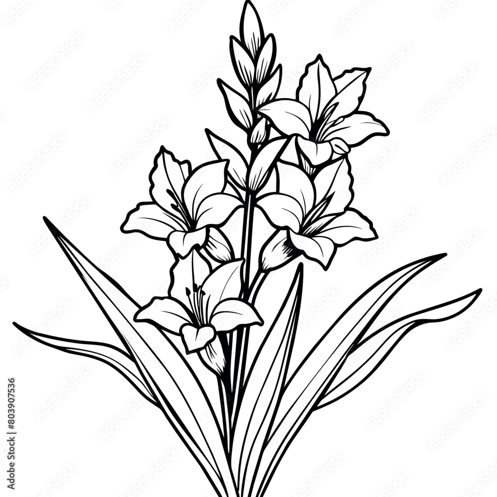 Gladiolus flower plant outline illustration coloring book page design ...
