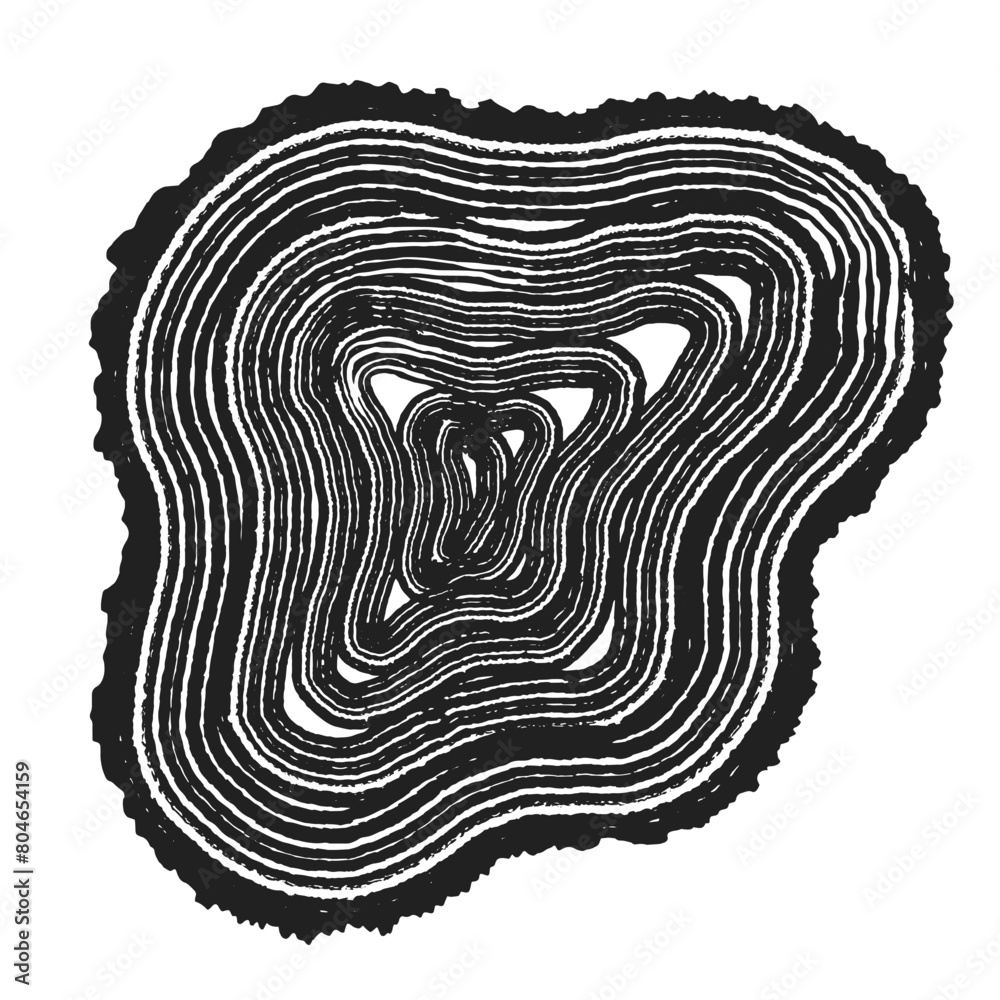 Cross section of tree stump slice with age rings. Black and white ...