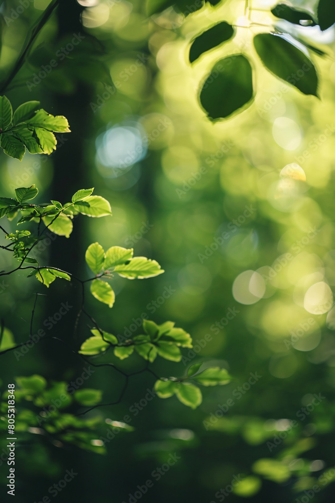 Tree with green leaves in eco-friendly, carbon neutral forest ...