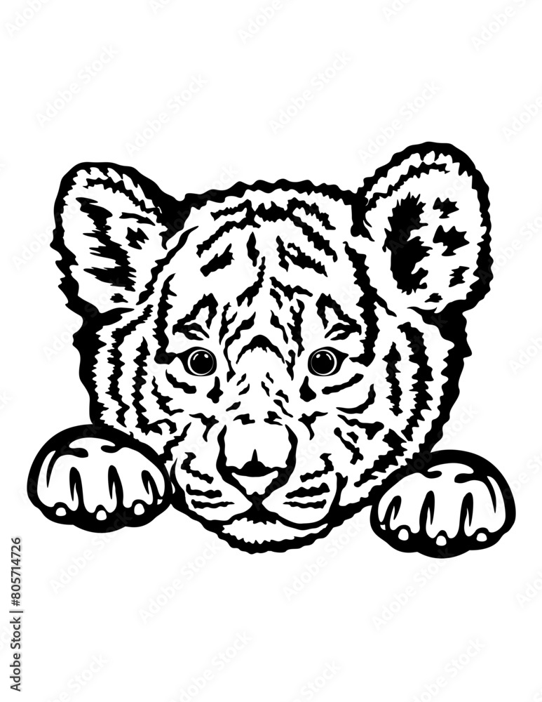 Peeking Baby Tiger | Cute Baby Tiger | Wildlife | Cub | Tigress | Pet ...