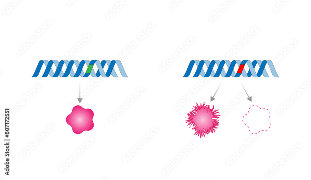 Genetic mutation. Normal and mutated genes. Gene mutation that produce ...