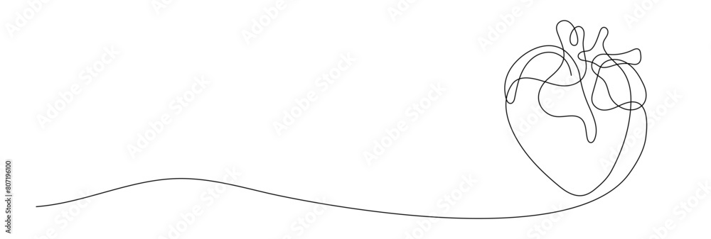 Human heart one line vector illustration. Body anatomy continuous line ...