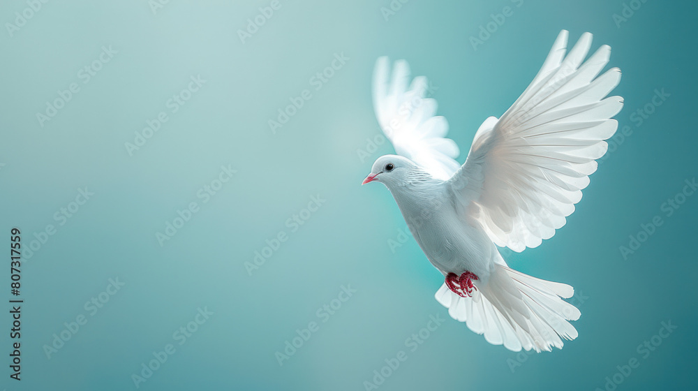 A white dove bird with its wings outstretched gracefully flying through ...