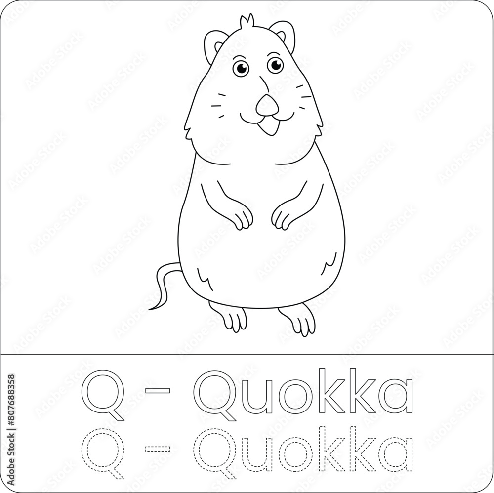 Quokka Coloring Page – Adorable Australian Animal Line Art for Kids ...
