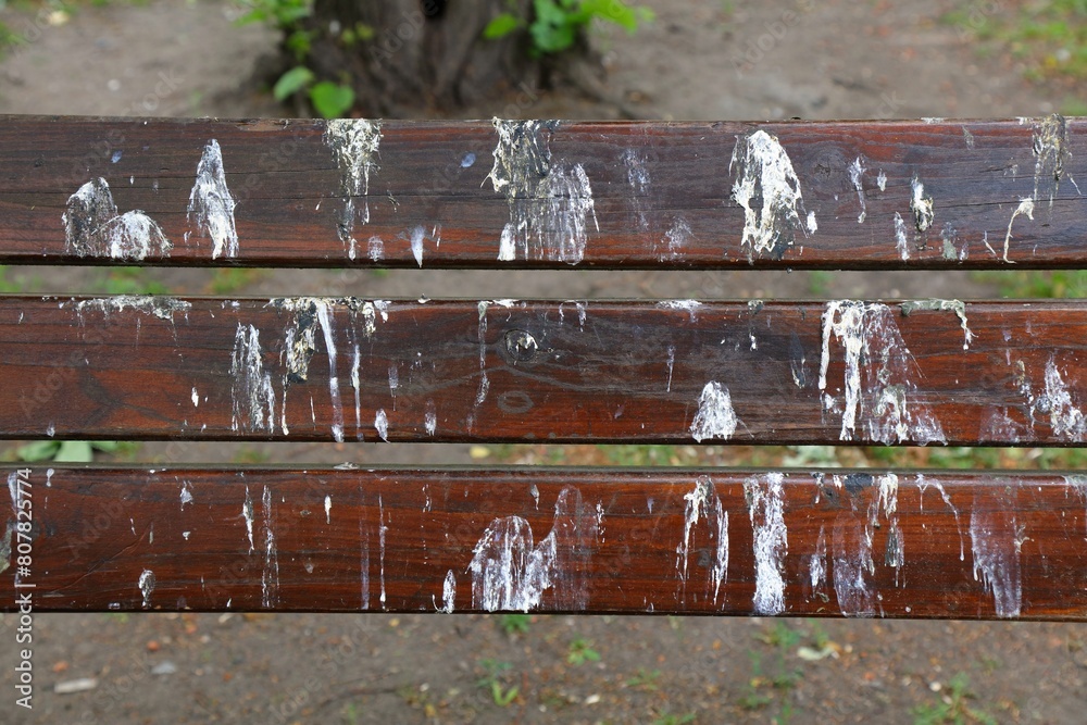 Bird poop on park bench in Prague Stock Photo | Adobe Stock