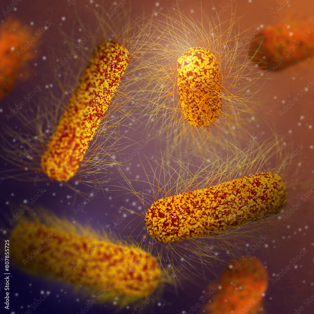 Medical background, bacteria facultative anaerobes, Salmonella ...