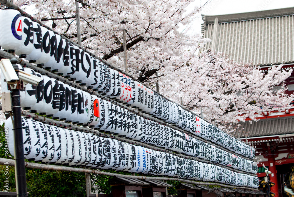 ASAKUSA,TOKYO,JAPAN - APRIL 2024 : the famous Asakusa Dera Sensoji is ...
