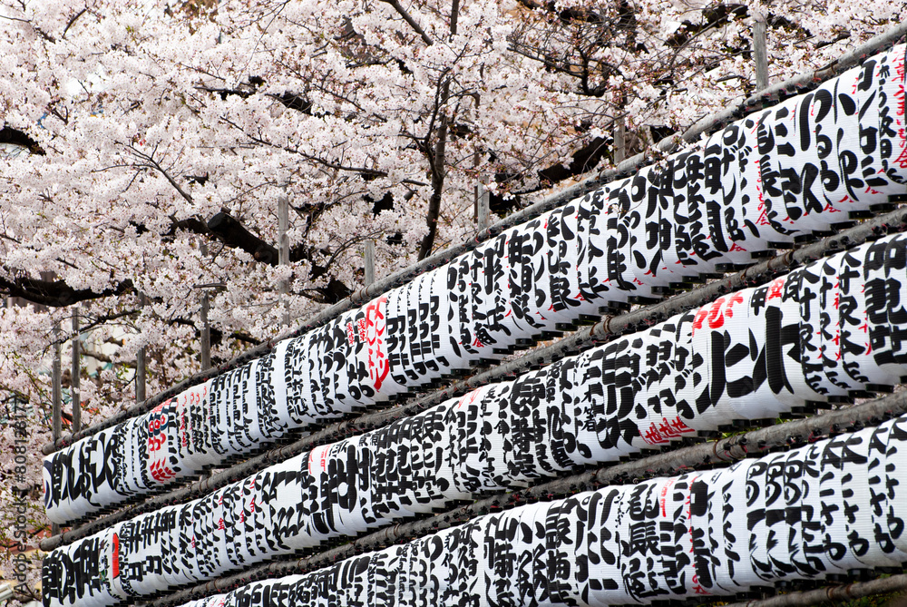ASAKUSA,TOKYO,JAPAN - APRIL 2024 : the famous Asakusa Dera Sensoji is ...