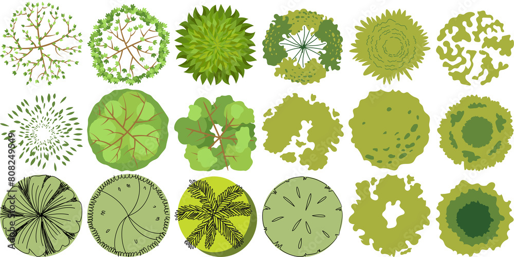 png trees top view, tree plans, graphic style, architectural plants ...