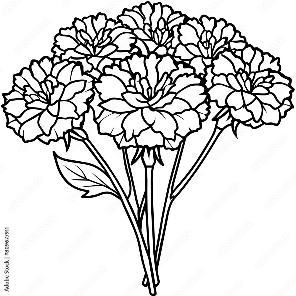 Marigold Flower outline illustration coloring book page design ...