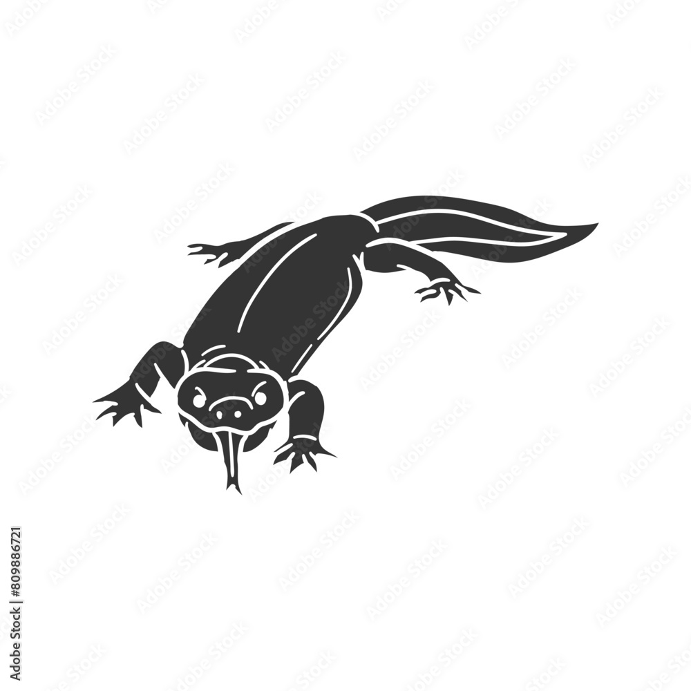 Newt Icon Silhouette Illustration. Amphibian Vector Graphic Pictogram ...