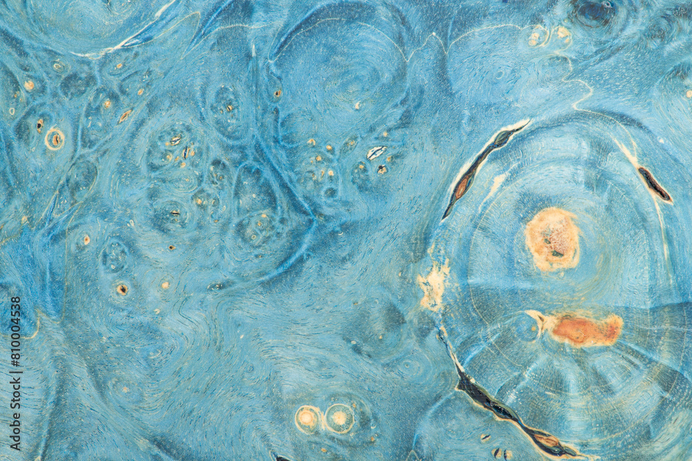 The background with the texture of a tree on a slice of an unsaturated ...