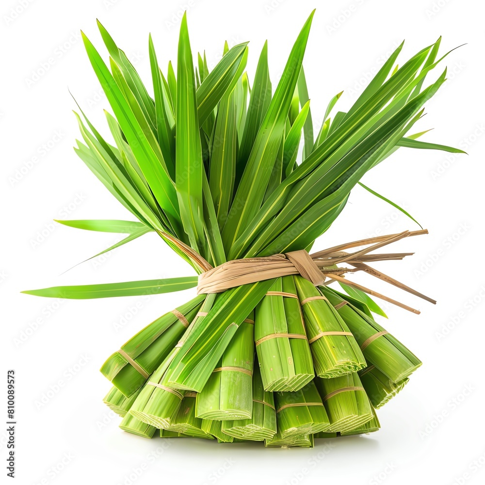 Fresh pandan leaves, also known as screwpine leaves, are long, thin ...