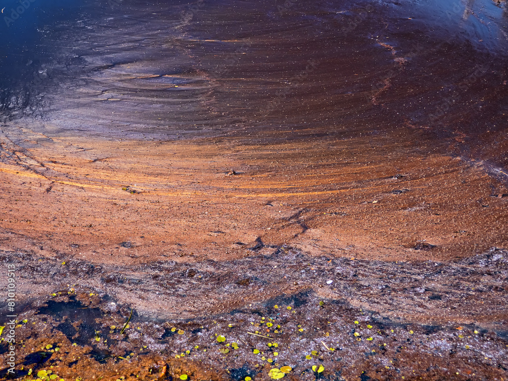Heavily polluted water, surface biofilm, bacterial tuft. Blue-green ...