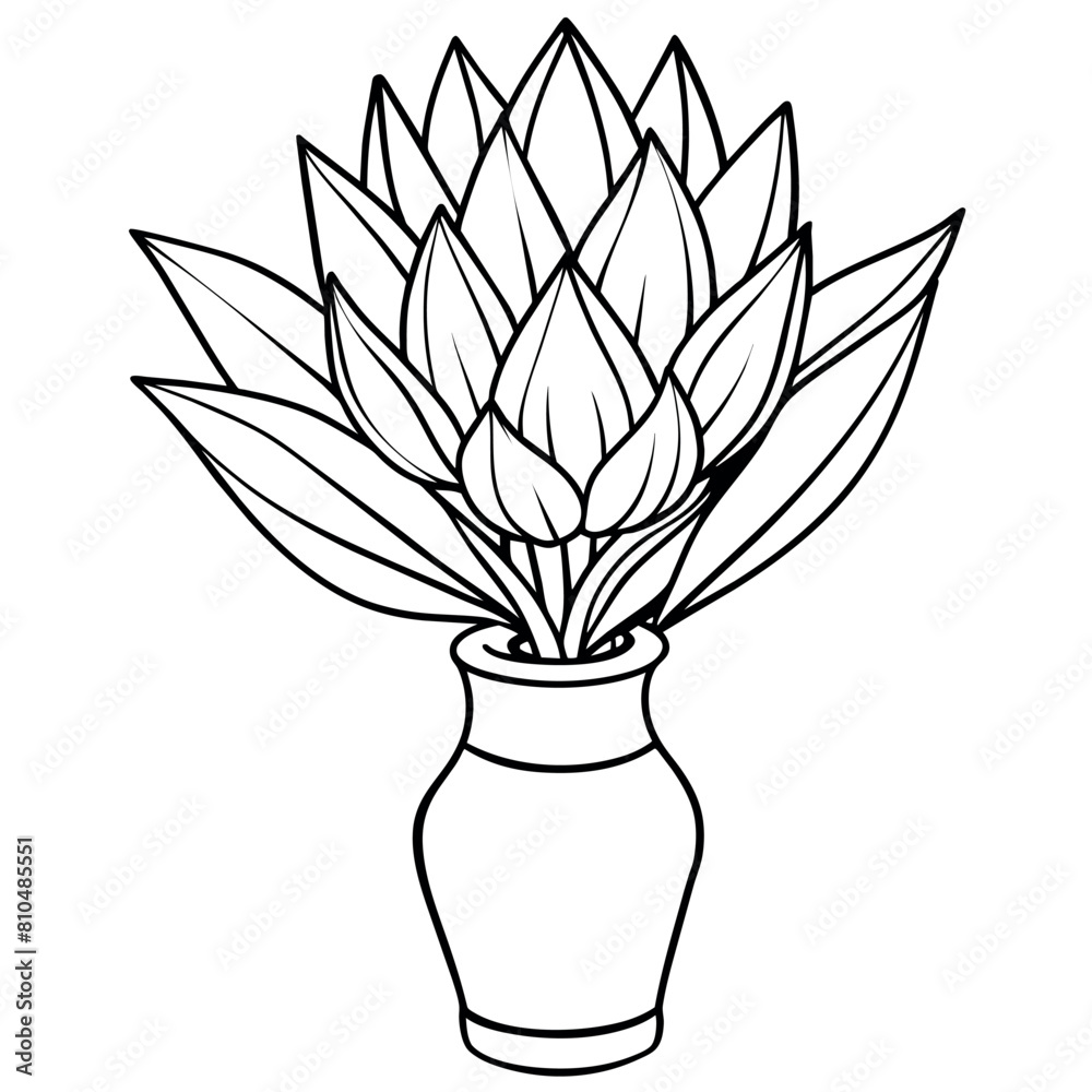 Protea flower outline illustration coloring book page design, Protea ...