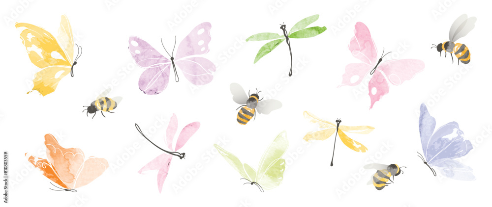 Set of insects garden elements vector. Collection of dragonfly, bee and ...
