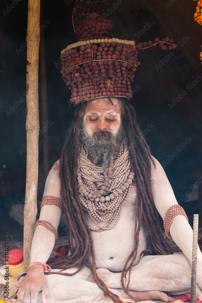 Portrait of an holy male naga sadhu baba with ash on his and long hairs ...