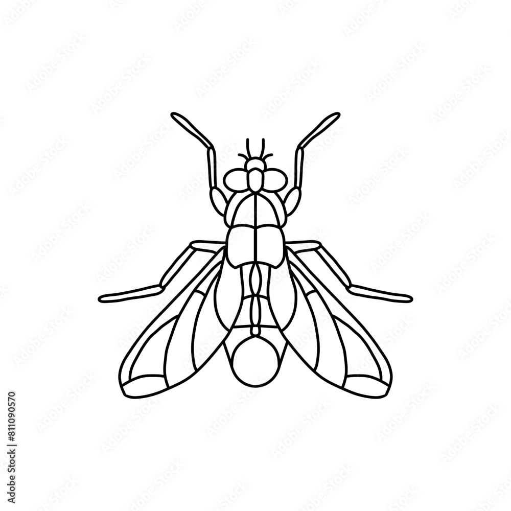 fly insect outline icon.fly line art vector illustration. Doodle line ...