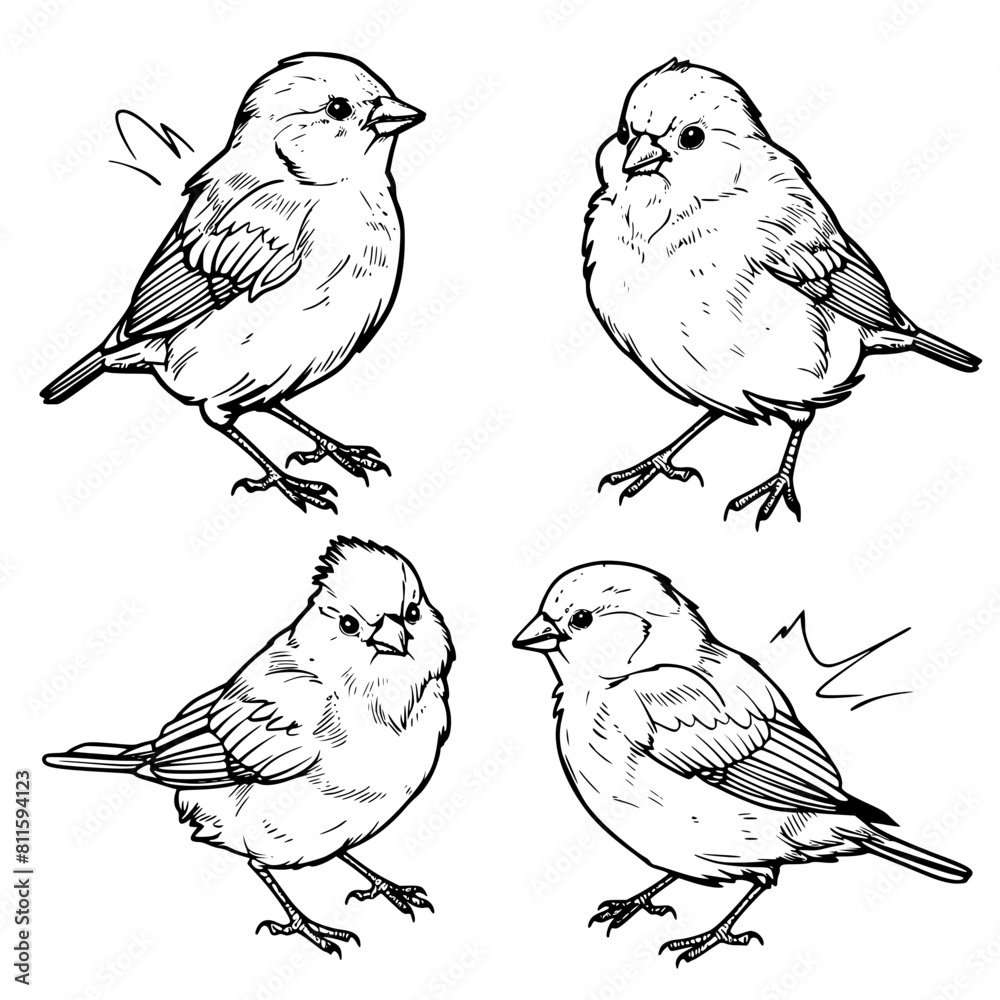 Bird svg, Bird svg bundle, Bird silhouette, Bird cut files, Bird ...