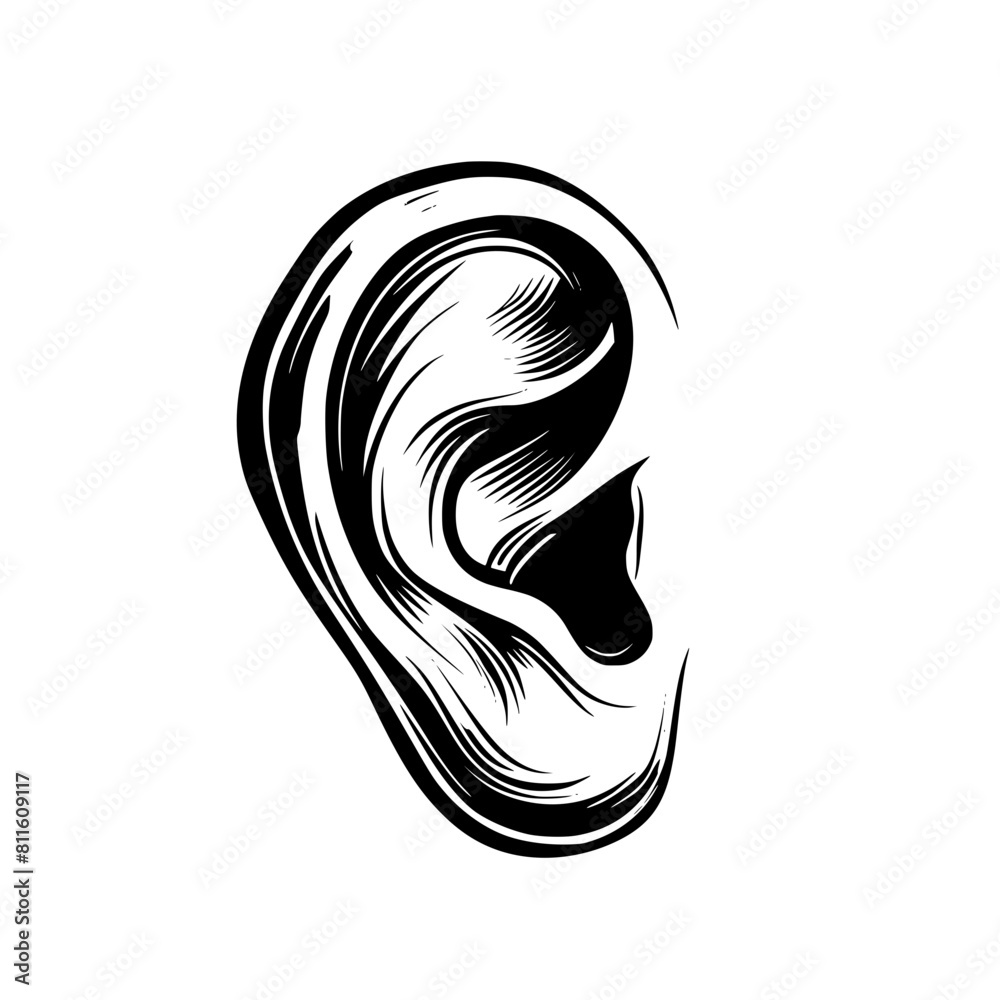ear silhouette, ear svg, ear png, ear vector, hair, woman, face ...