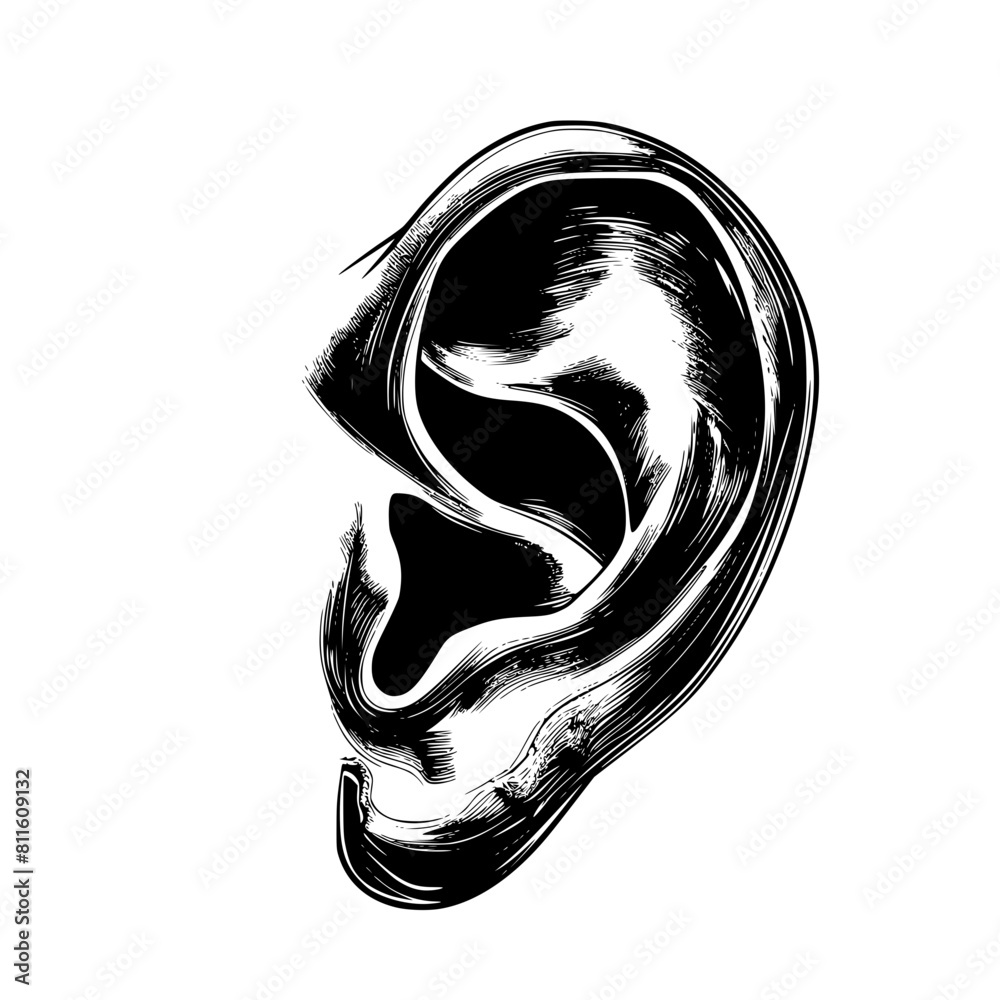 ear silhouette, ear svg, ear png, ear vector, hair, woman, face ...