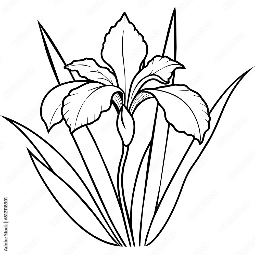 Iris flower outline coloring book page line art drawing vector ...