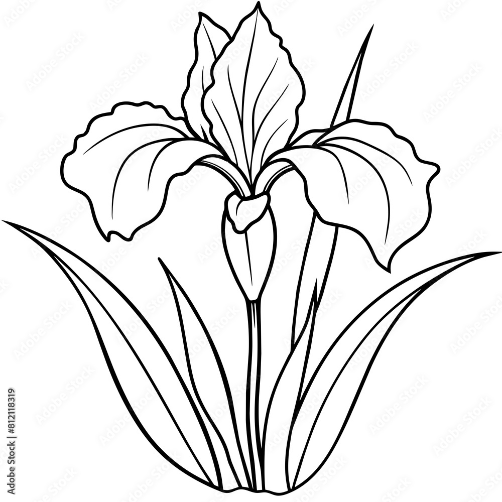 Iris flower outline coloring book page line art drawing vector ...