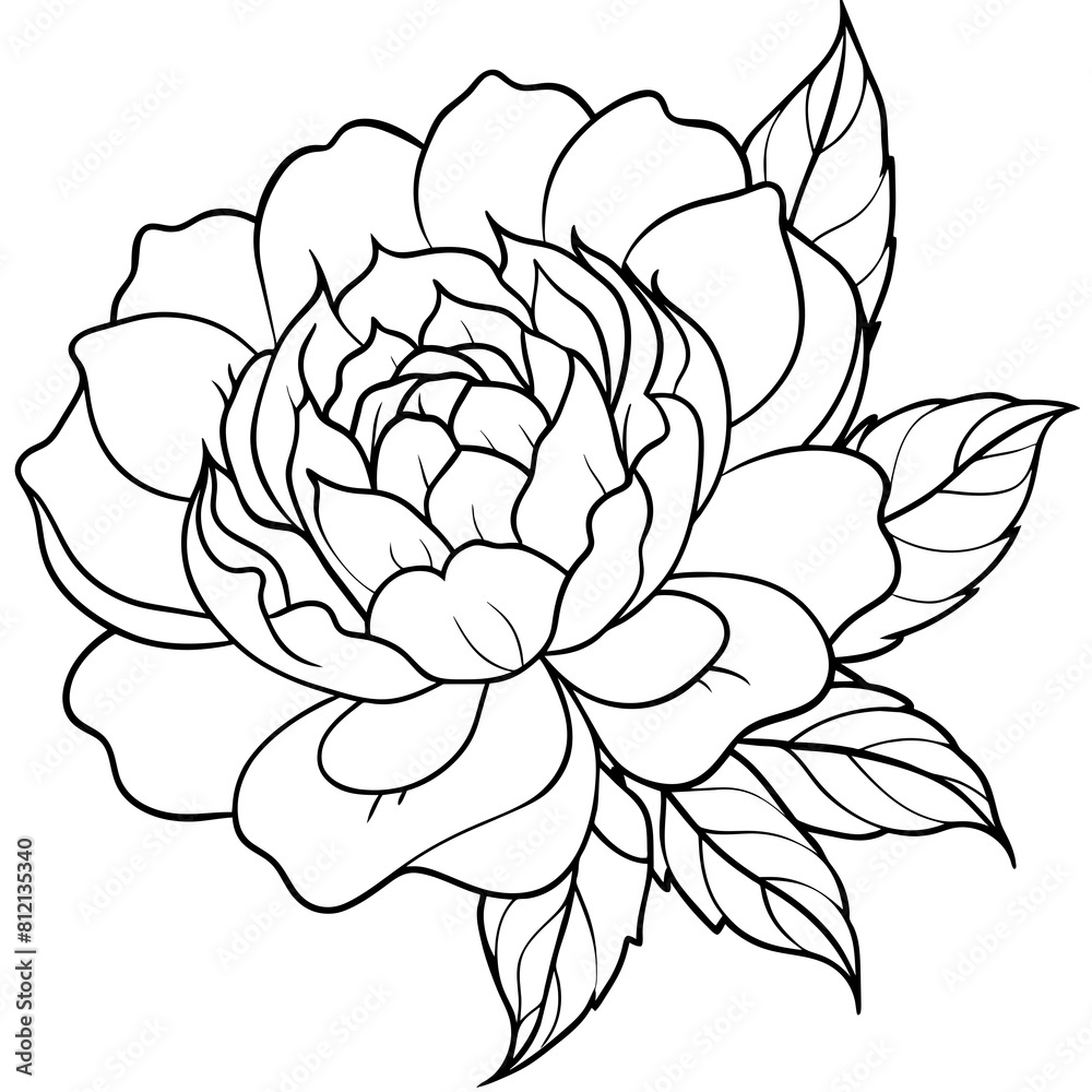 Peony flower outline coloring book page line art drawing vector ...