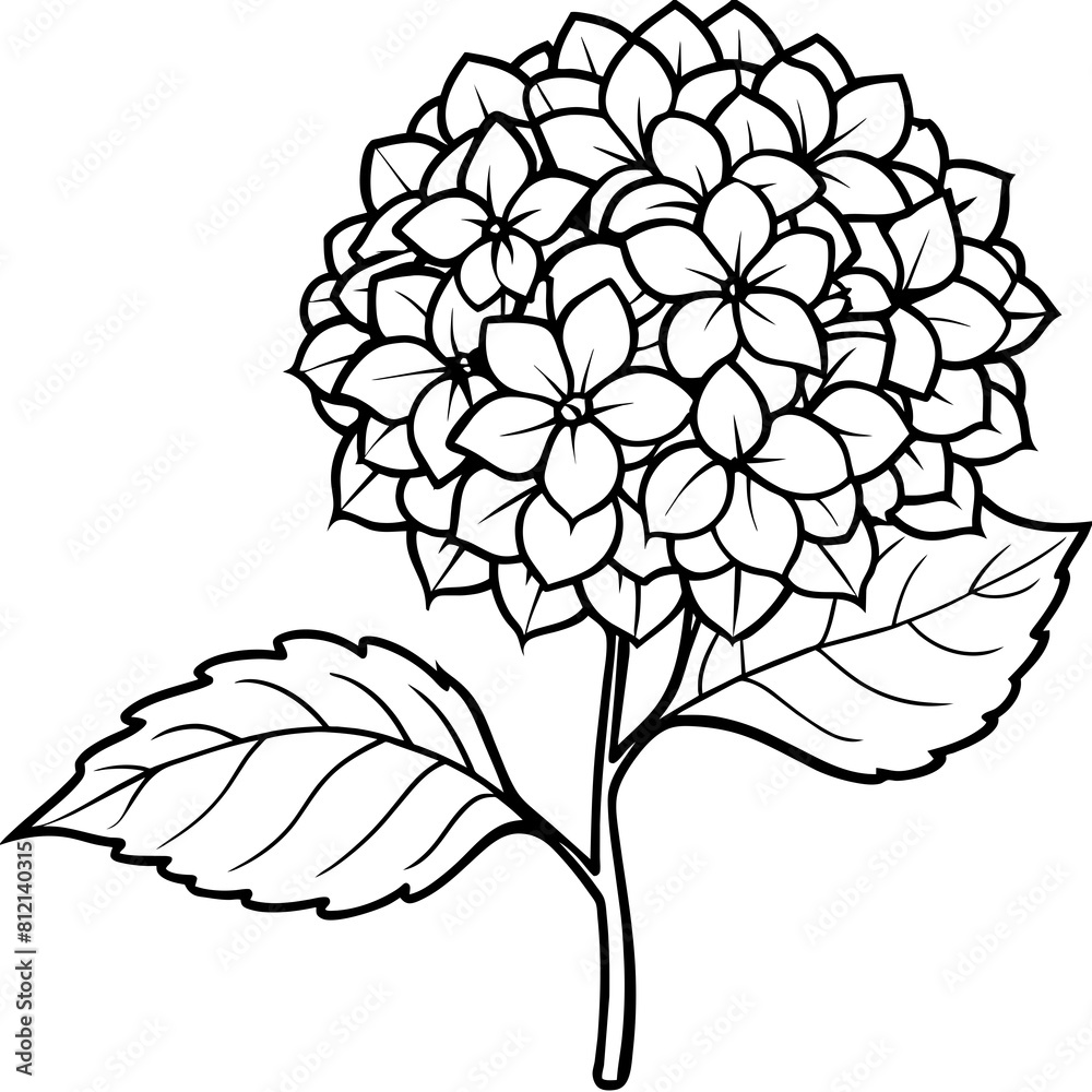 Hydrangea flower outline coloring book page line art drawing vector ...