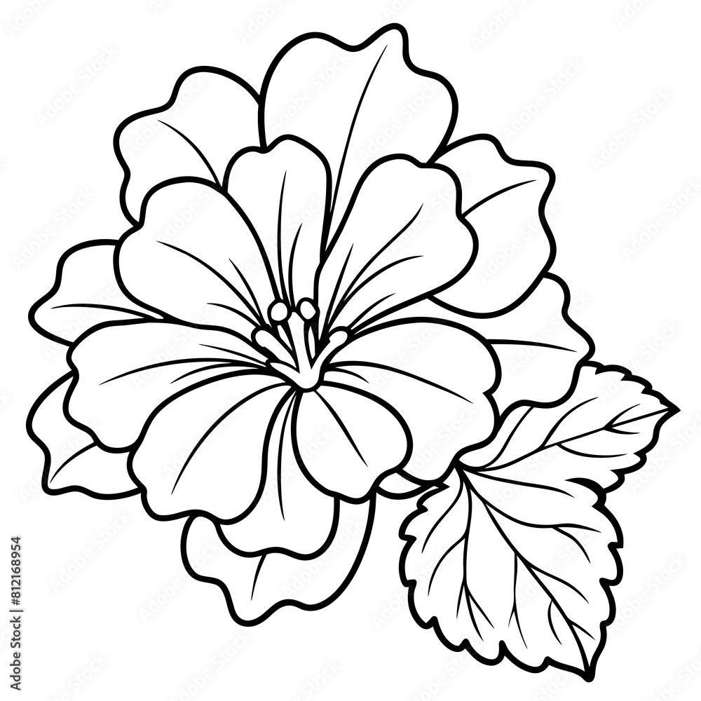 Geranium flower outline coloring book page line art drawing vector ...