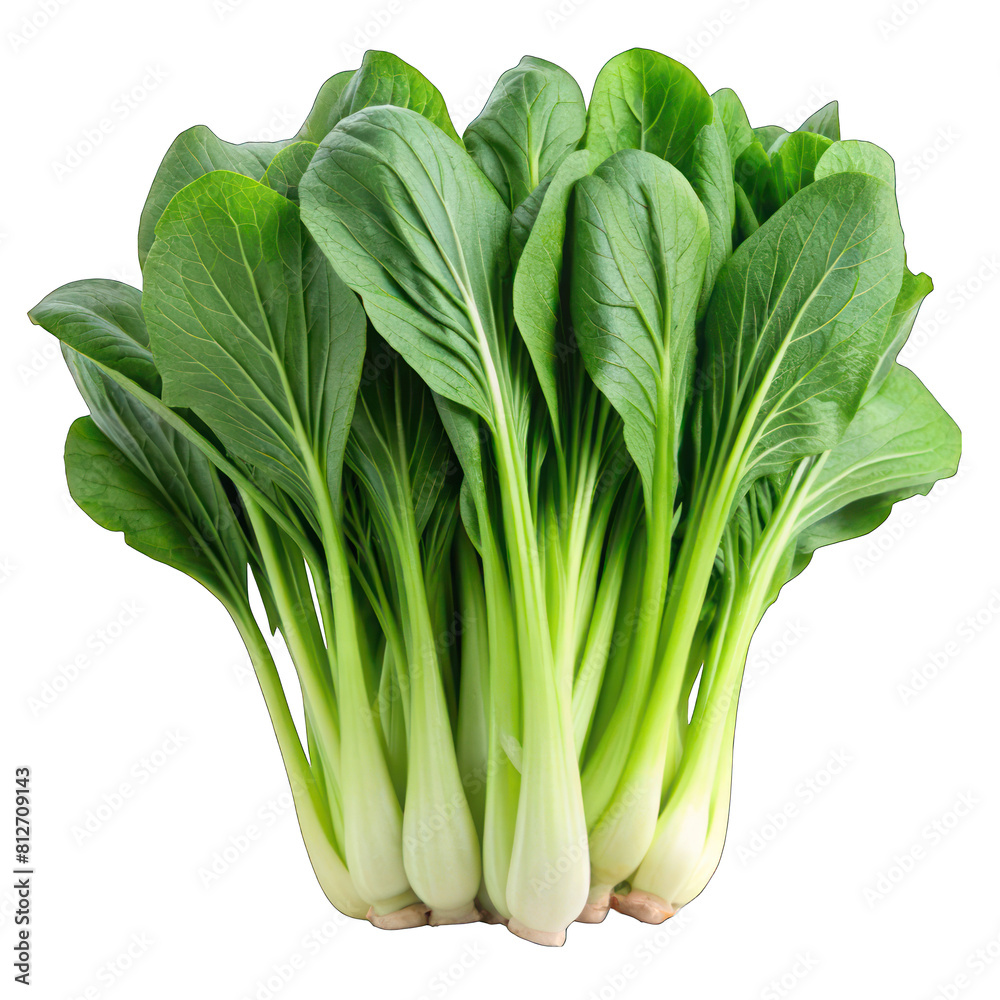 Bok choy, Choy sum. The highlight of this vegetable lies in its ...