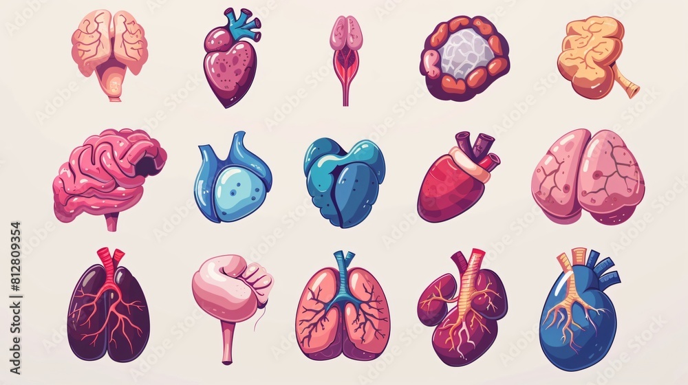 Human internal organs, 2D drawing, painted, 15 images in total, brain ...