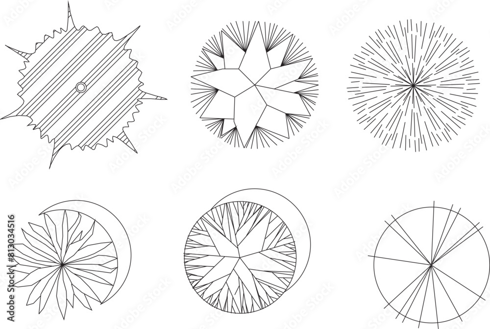 Vector sketch illustration design drawing layout of plants and trees ...