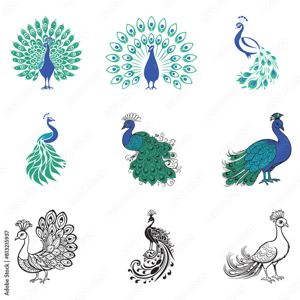 set of peacock vector designs, show-off, prance, peafowl, fop, braggart ...