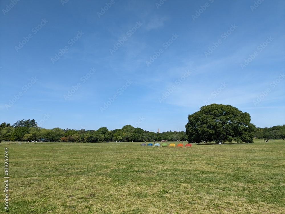 Showa Memorial Park (Showa Kinen Park), Huge park in the western ...