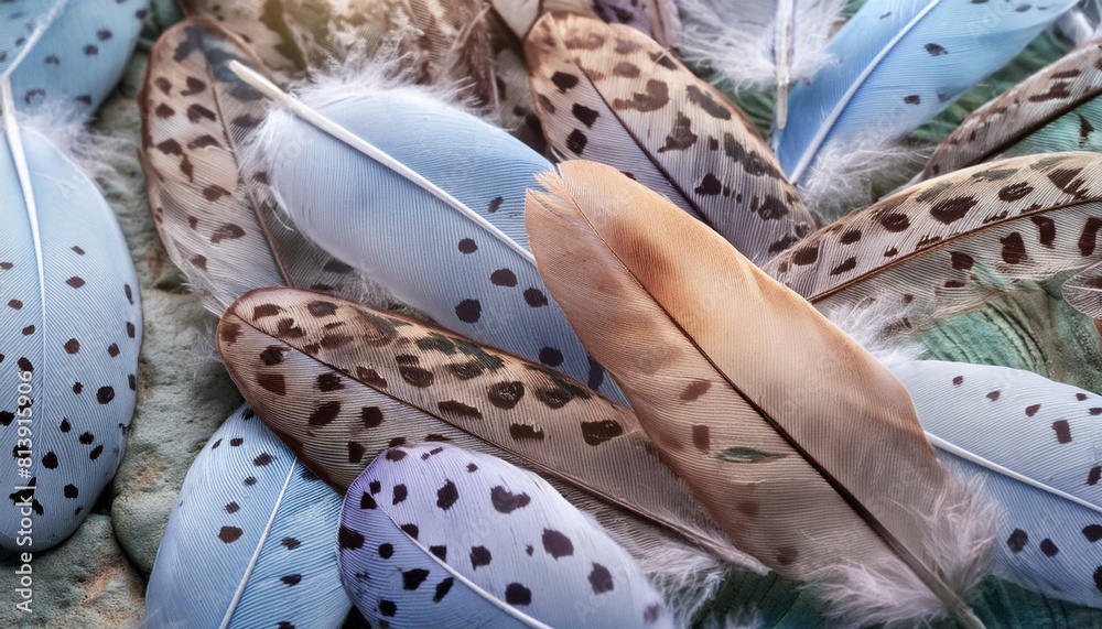 Fairy feathers with a pattern like leaf veins Fairy feathers that are ...