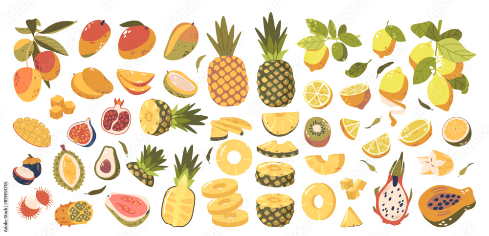 Vector Set Of Various Colorful Exotic And Citrus Fruits. Cartoon Whole ...