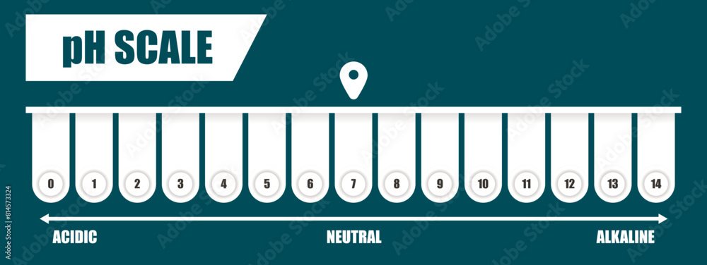 pH value scale chart for acid-alkaline solution. PH scale science ...
