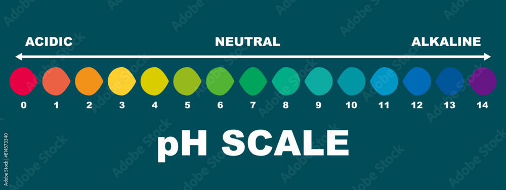 pH value scale chart for acid-alkaline solution. PH scale science ...