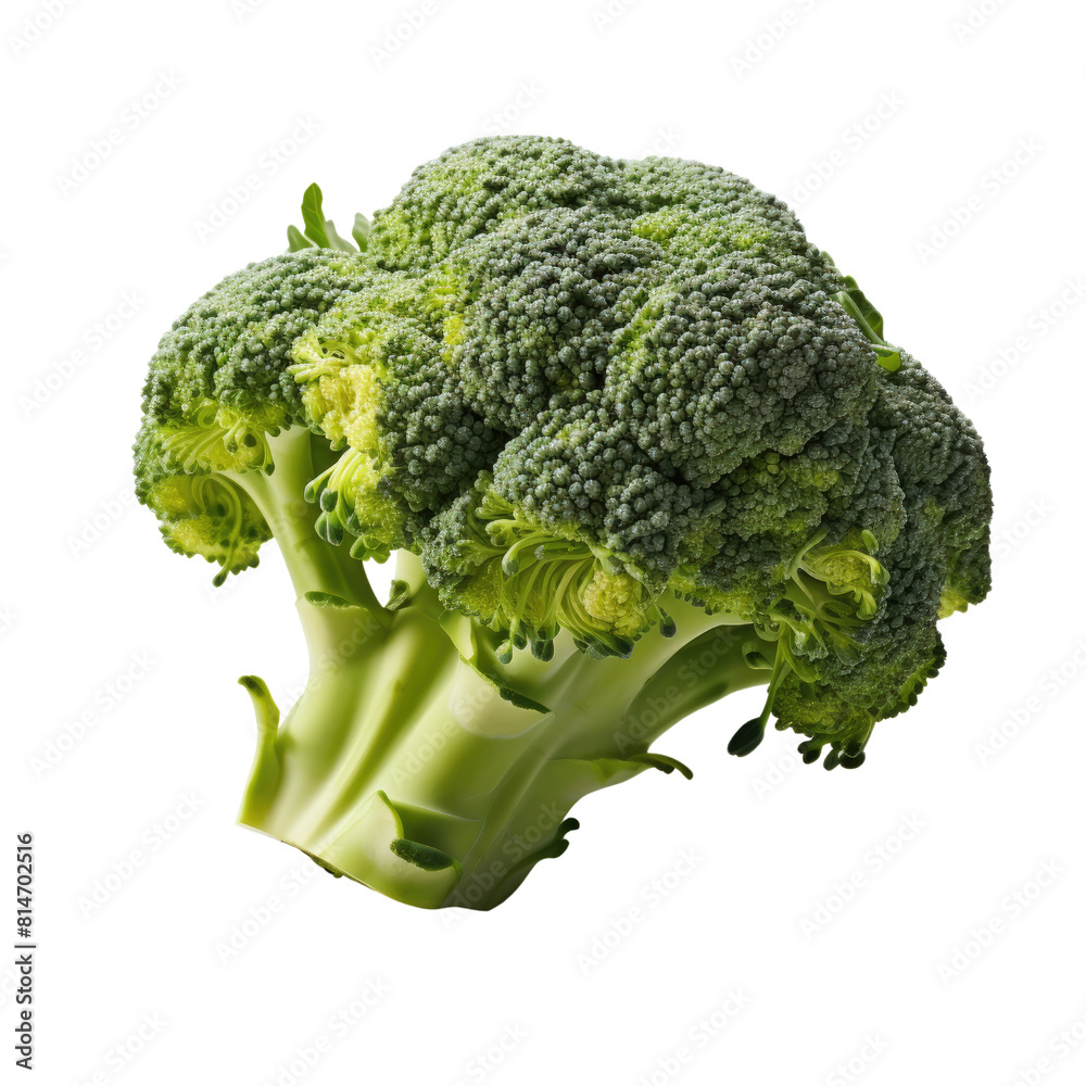 This picture shows a crown of broccoli florets. transparent background ...