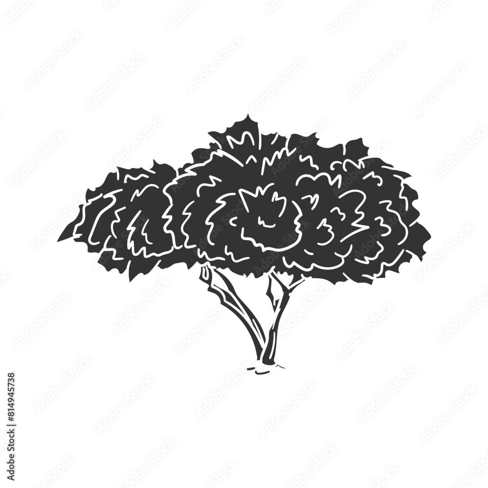 Palo Verde Icon Silhouette Illustration. Tree Vector Graphic Pictogram ...